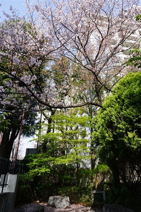 第18回入学式を行いました ｜ 東京都立六本木高等学校 定時制 東京都立学校