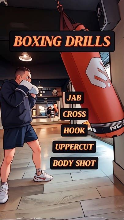 잽 크로스 훅 어퍼컷 바디샷 연속기 Boxing 복싱 Youtube