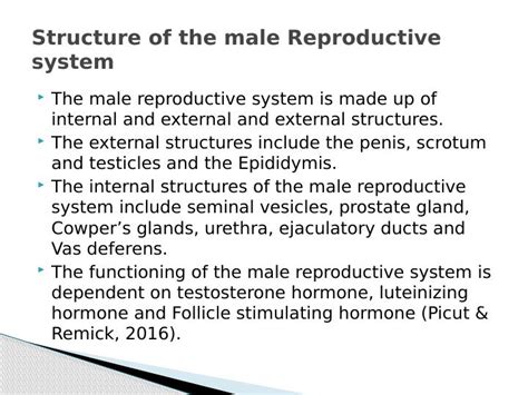 Human Reproduction Male And Female Reproductive Systems