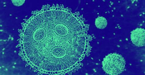 Innovative Lipids For Your Nucleic Acid Delivery Research Avanti Polar Lipids En US