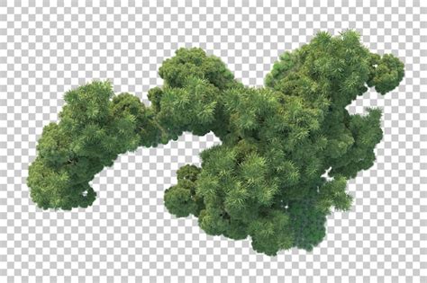 透明な背景に隔離された緑の風景 3dレンダリングイラスト Premium Psd