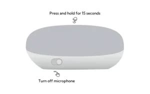 How To Reset Nest Mini 1st And 2nd Gen