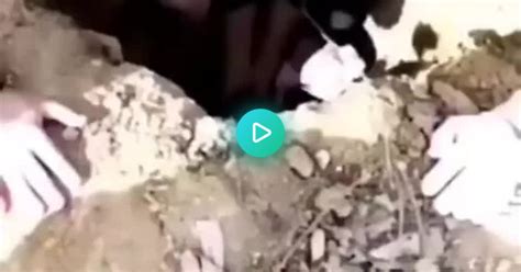 You Big Dummy Album On Imgur
