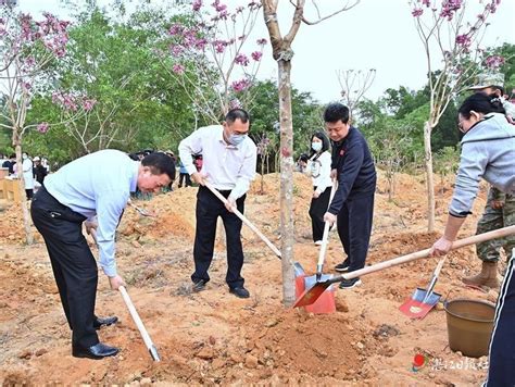 湛江市开展推进绿美广东生态建设义务植树活动 长者易用专区 广东省林业局