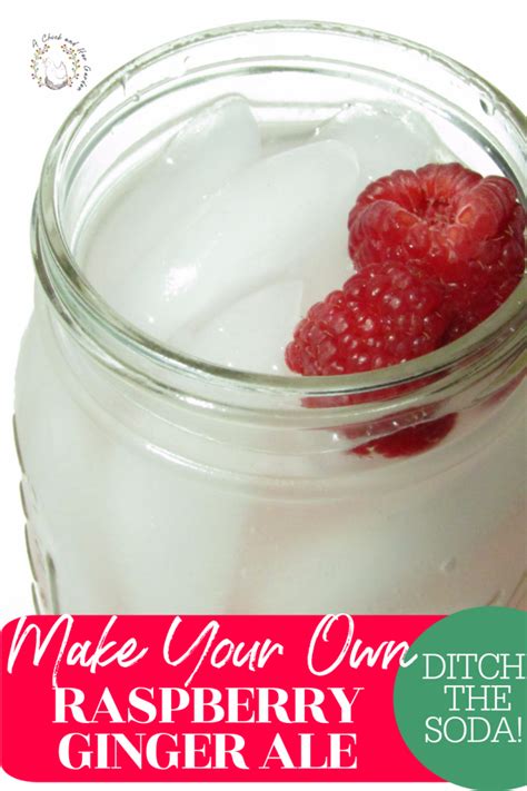 How To Make Your Own Raspberry Ginger Ale A Chick And Her Garden