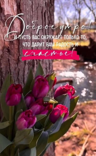 С добрым утром и великолепным началом наступившего дня друзья Желаю успешных дел положительных