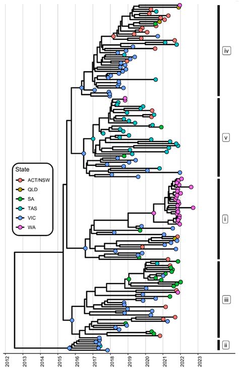 Viruses Free Full Text Utilizing Molecular Epidemiology And Citizen