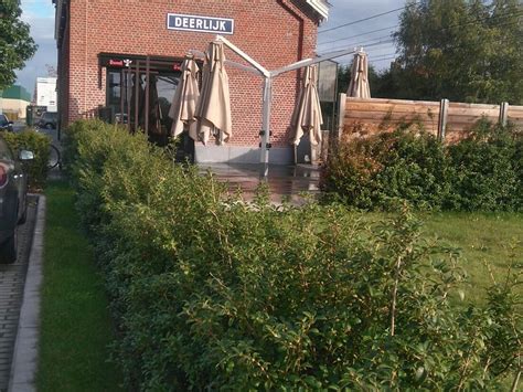 Eet En Bierkroeg T Kruiske Deerlijk Restaurantbeoordelingen Fotos En Telefoonnummer