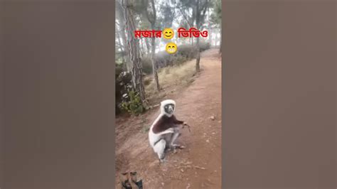 ভিডিওটা পুরোটা দেখো খুব মজা🫠 পাবে 😊 Funny 😄 Youtube