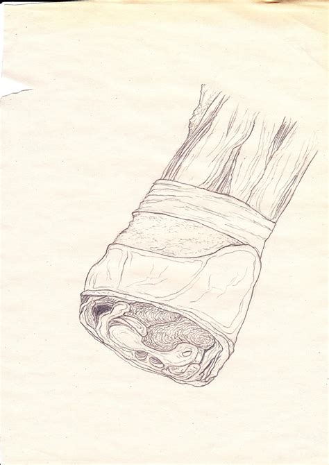 Cadaver Drawing 2 By Thisguydraws On Deviantart