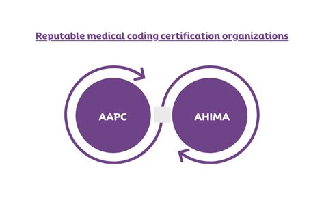 Mastering Healthcare Coding Certification Guide
