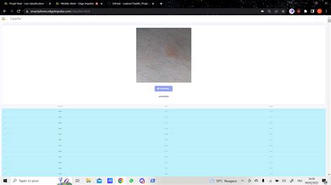 Github Ludovxtinymlprojetfinal