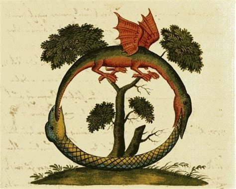 Medieval Ouroboros Art Print Antique Alchemical Drawing Ancient