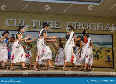 Traditional Tharu Dance At Sauraha In Nepal Editorial Photography