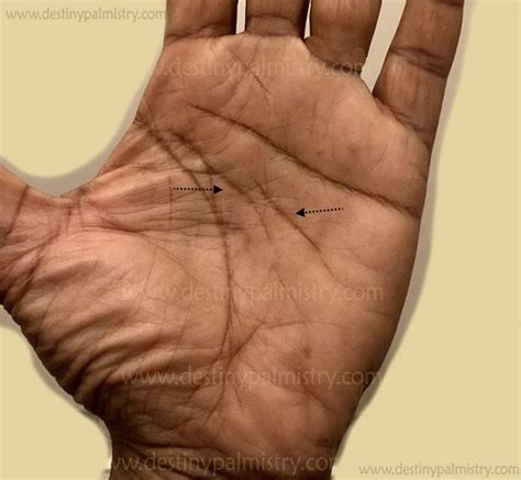 Dual Personality From The Palm Lines Destiny Palmistry Palm Lines
