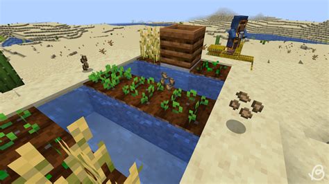 How To Get Beetroot Seeds In Minecraft Beebom