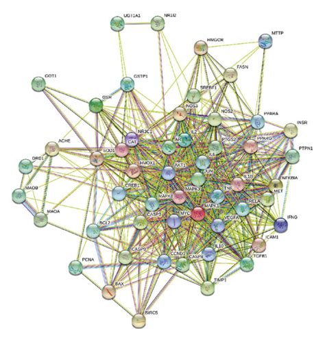 Protein Protein Interaction Ppi Analysis Of Core Targets Of Qingdu Download Scientific
