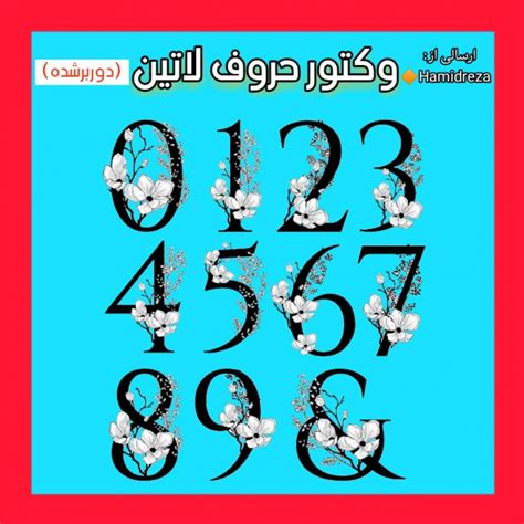 وکتورحروف لاتین متن نگار