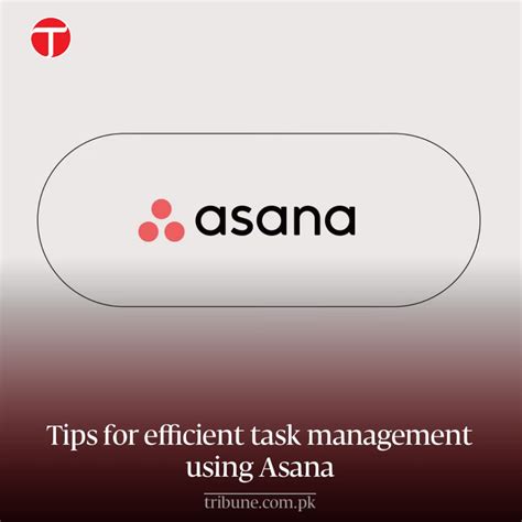 tips for efficient task management using asana daily city news