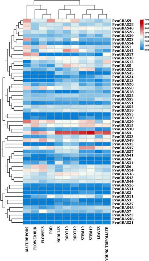 Expression Of Pvugras Genes In Different Tissues And Developmental