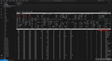 使用vscode通过ssh远程登录阿里云linux服务器异常崩溃linux Vscode Rg Csdn博客