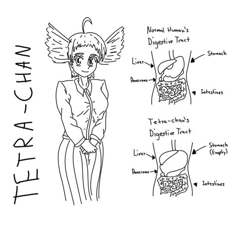 Econ0ixxgamzh8h Elcinoid Reupload By Madstickman On Deviantart