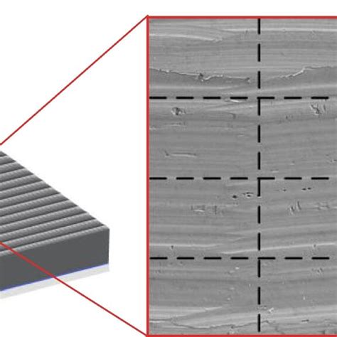 Sem Observation Area And Surface View Division Diagram Download