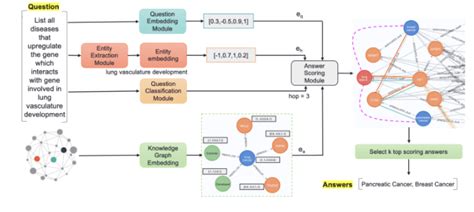Multi Hop Question Answering With Llms And Knowledge Graphs Wisecube Ai
