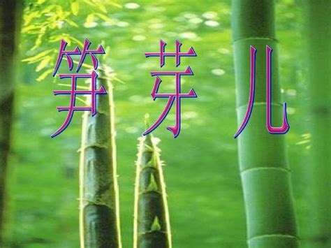 笋芽儿ppt课件 word文档在线阅读与下载 无忧文档