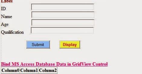 How To Insert Data In Microsoft Access Database And Bind It In Gridview