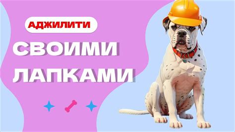 Как сделать снаряды для аджилити своими руками, барьеры для аджилити ...