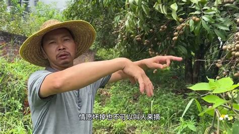 广东梅州网红猪肉佬，被卖猪肉耽误的演员，以前摘龙眼的人哪去了 Youtube