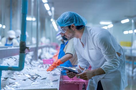 실험복 헤어 커버 고글 등 보호 장비를 착용한 식품 가공 작업자들이 공장 환경에서 얼음 위에서 생선을 검사하며 위생 품질 관리 및 안전 기준을 강조합니다 물고기에 대한 스톡