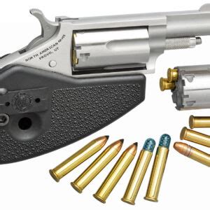 Naa 22s North American Arms