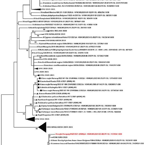 Phylogenetic Tree Constructed Using The Nj Method Based On The Download Scientific Diagram