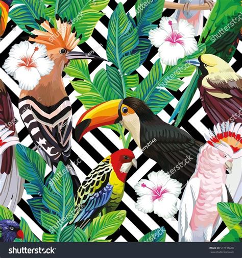 Tropical Birds And Flowers On A Black And White Checkerboard Background