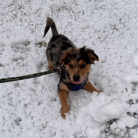 Charles Capasso And Sons Carting Inc Stony Point Ny