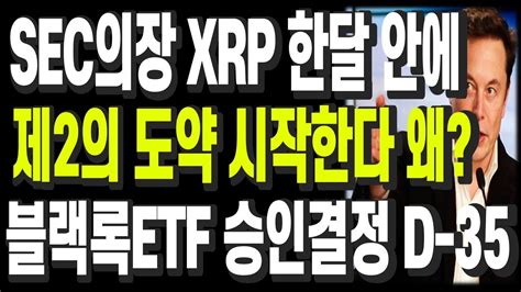 비트코인 리플 도지코인 이더리움 Sec의장 Xrp 한 달 안에 제2의 도약 시작한다 왜 블랙록etf 승인결정 D 35