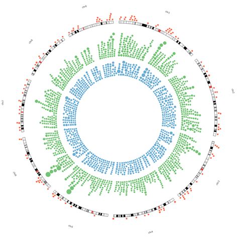 Circos Tutorials 2d Data Tracks Glyphs — Part Ii Circos Circular