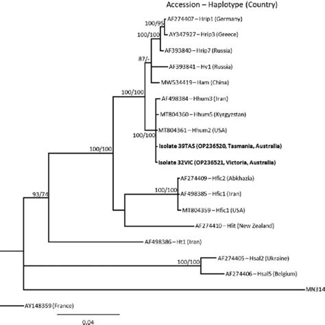 Phylogenetic Relationship Between Its Rrna Gene Sequences Of Species