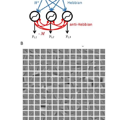 a neural network implementation of the sparse matrix factorization