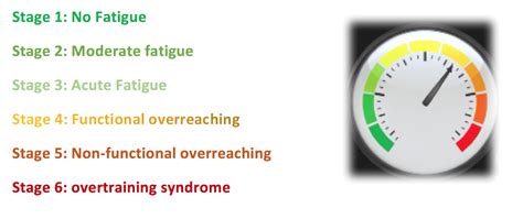 Exercises For Scapulothoracic Rhythm Functional Training Institute