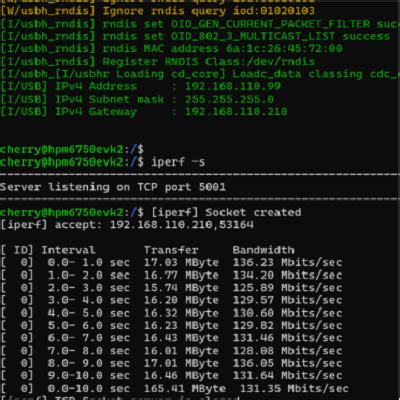 Cherryusb Documentation