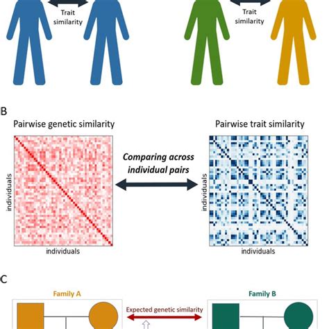 Estimating Heritability Common Methods For Estimating The Heritability