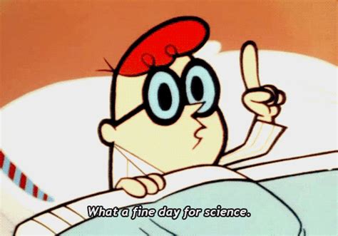Omelette Du Fromage 