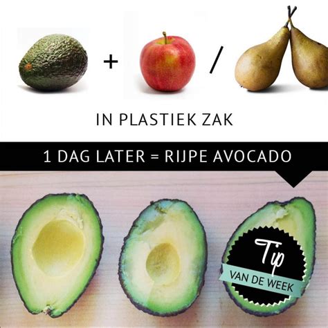 Avocado Sneller Laten Rijpen Empty The Fridge