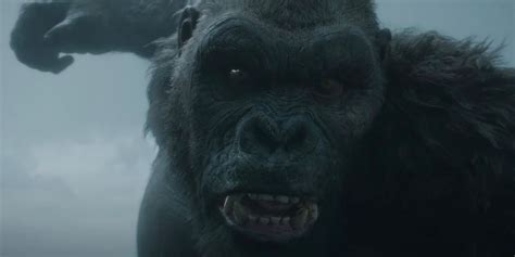 Warzone Revela Operation Monarch Con King Kong Y Godzilla La Neta Neta