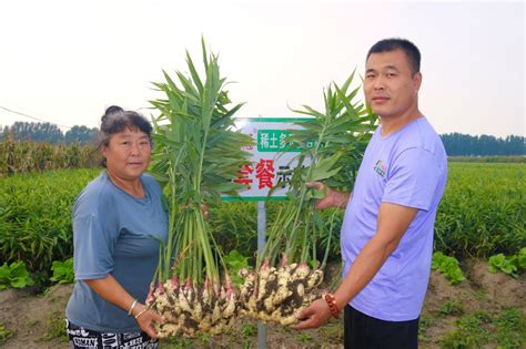 沣田宝农业科技有限公司