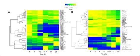 Lipidomic A And Extracellular Metabolomic B Longitudinal Data