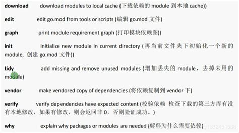 Go语言 Go Mod 以及包详解go Download Csdn博客